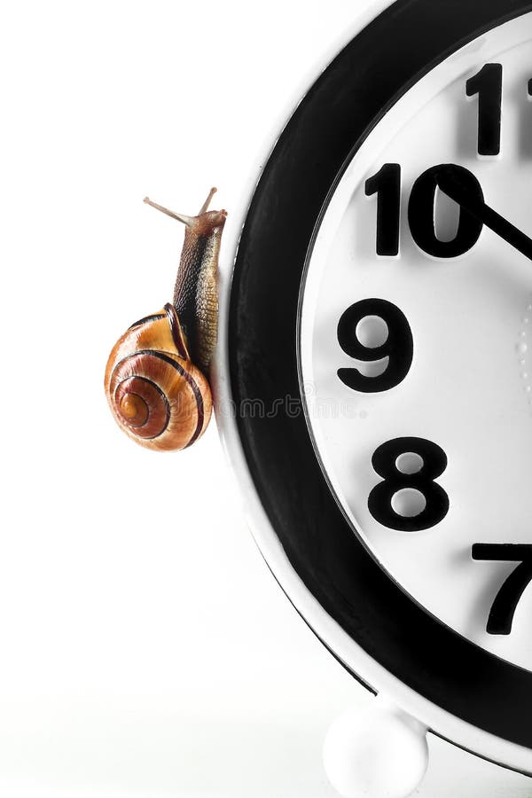 Time Lapse Concept - Snail and Clock Isolated on White Stock Photo ...