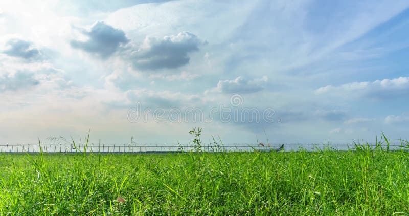 Time Lapse Green Field with Blue Cloudy Sky. Stock Video - Video of ...
