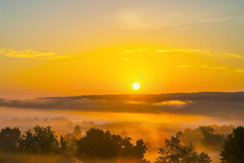Time-lapse of the Mesmerizing Sunrise Over the Trees Stock Footage ...