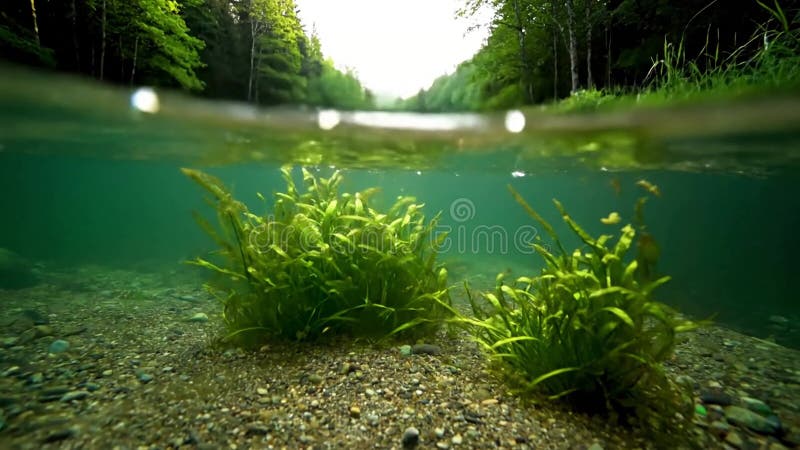 Time Lapse Sequence of a Riverbank Over Several Hours, Showing the ...