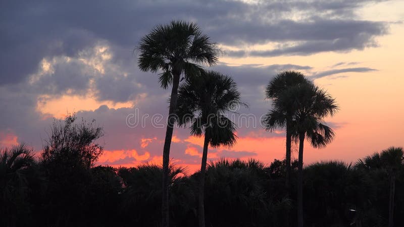 The Time Lapse of the Sun on the Clouds before Dawn with the Silhouette ...
