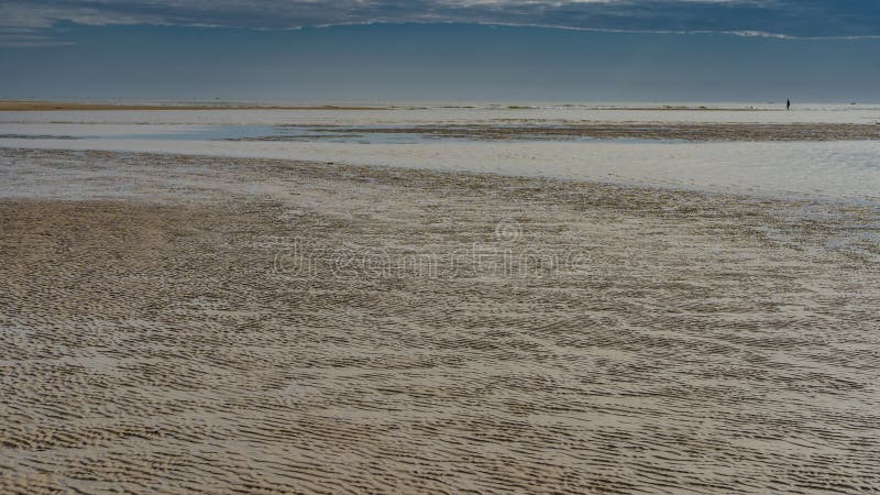 The Time of Low Tide in the Ocean. a Pattern of Sandy Ridges Formed on ...