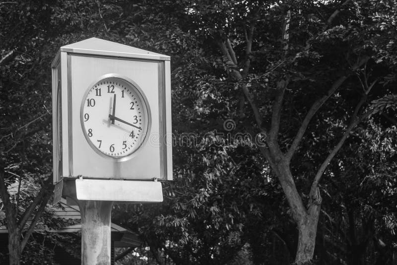 Time Management Concept : Clock Tower in Public Park. Stock Photo ...