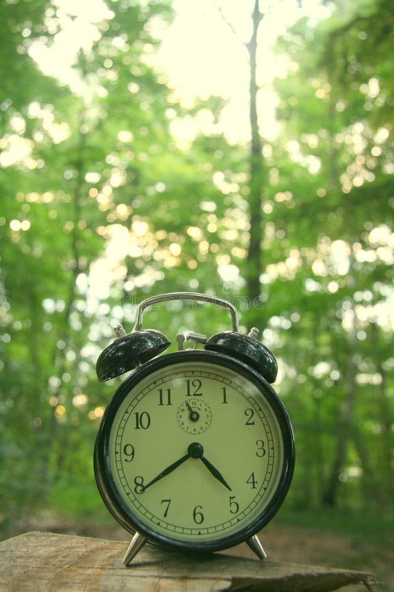 Time for nature stock photo. Image of idea, environmental - 5997326