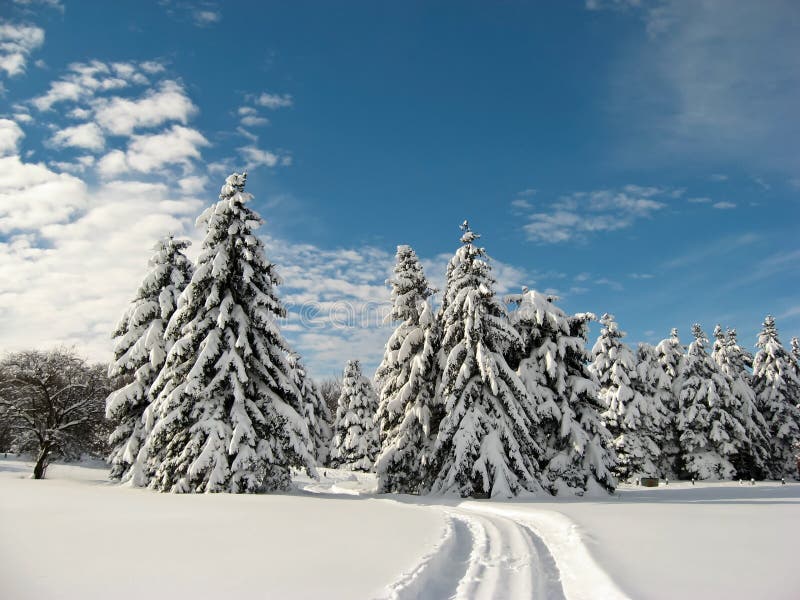 Time in the snow stock image. Image of trees, trace, snow - 18114003