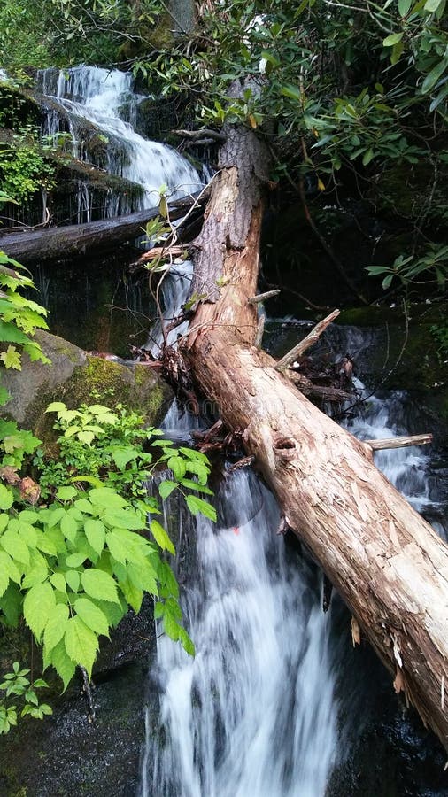 Time standing still stock image. Image of still, outdoors - 173962479