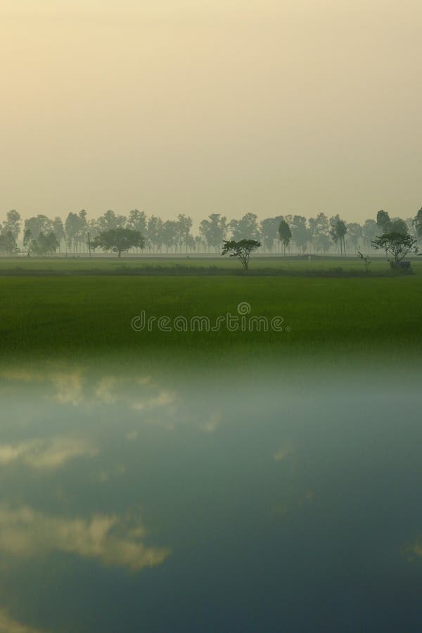 At the time of sunset stock photo. Image of tree, sunrise - 179855100