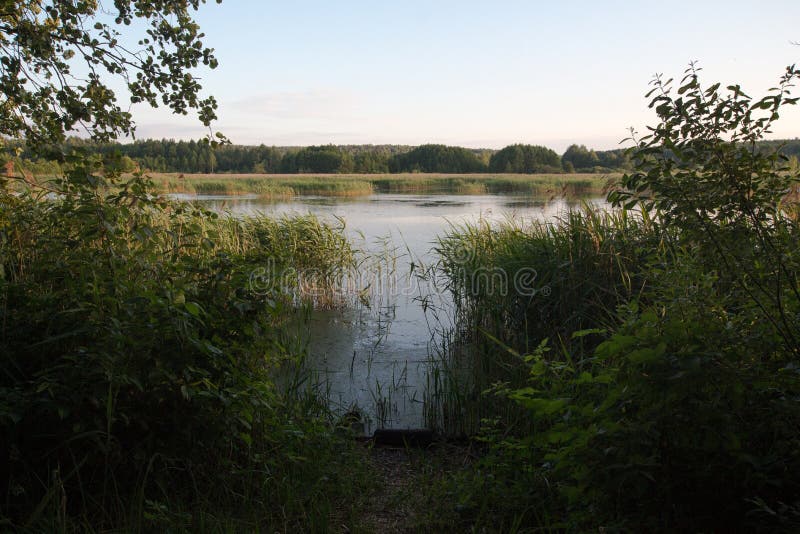 Time before Sunset Over the Pond Stock Image - Image of time, forest ...
