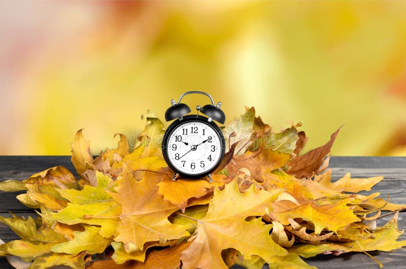 Time stock photo. Image of season, daylight, fall, time - 118908132