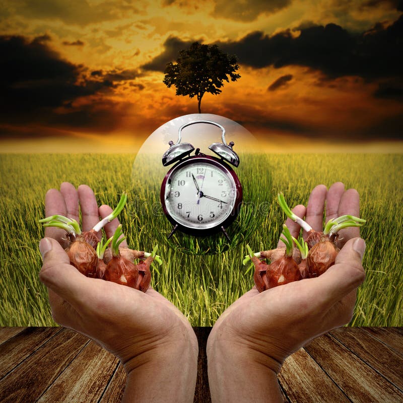 Time To Planting for Save the Green Earth Stock Photo - Image of ...