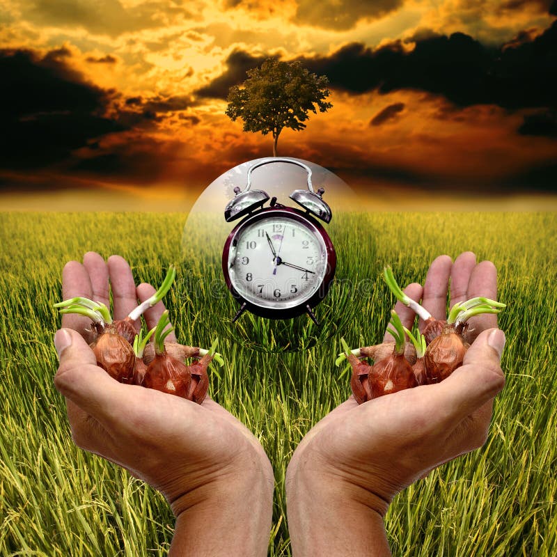 Time To Planting for Save the Green Earth Stock Photo - Image of ...