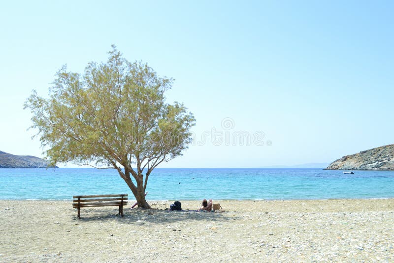 Time to Relax stock image. Image of beaches, rest, tree - 140115137