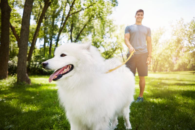 Time for a Walk. a Handsome Young Man Walking His Dog in the Park ...