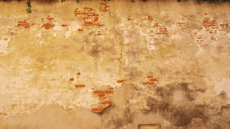 Time-Weathered Brick Wall with Peeling Plaster Texture for Historical ...