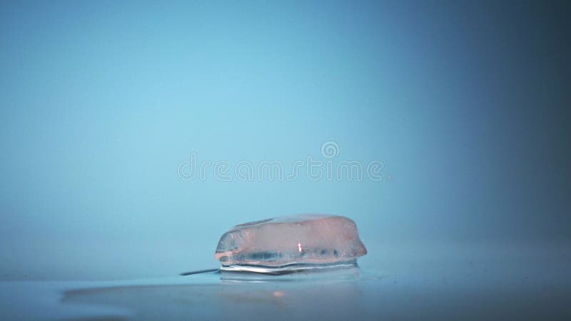 Timelapse. Melting Ice Cube on Blue Background in Backlight Stock Video ...