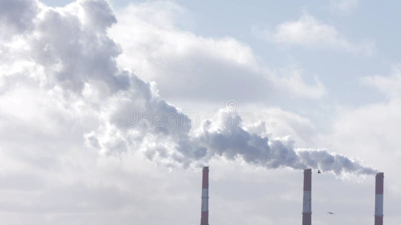 Timelapse Smoke From A Chimney Of A Thermal Power Plant Air Pollution