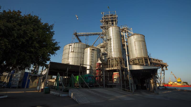 Timelapse of Unloading Grain Trucks at Elevator on Elevating Hydraulic ...