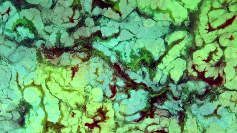 Timeless Abstract Color Paint Pattern Moving Creature Chaos Background ...