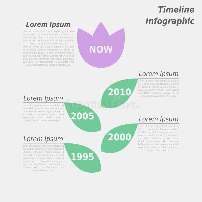 Timeline Infographic. Flower Flow Chart. Clean Flat Design. Vector ...