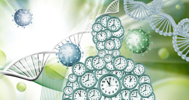 Evolution Life Time Stock Illustrations – 1,770 Evolution Life Time ...