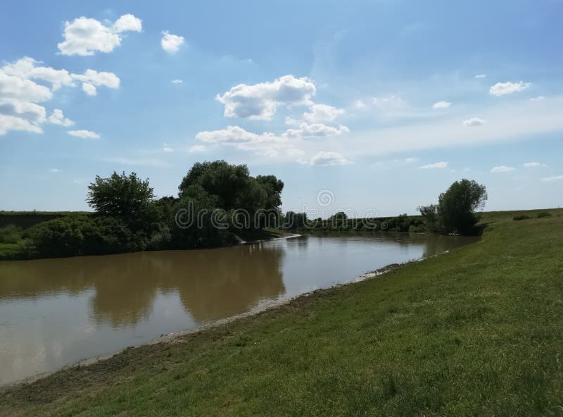 1,087 Timis Stock Photos - Free & Royalty-Free Stock Photos from Dreamstime