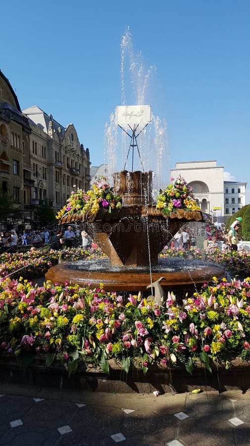 Timisoara editorial photography. Image of city, beautifultown - 120469437