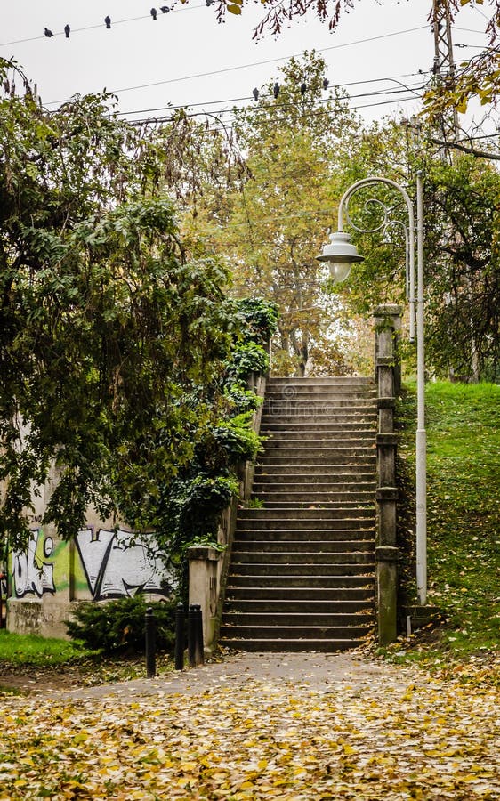 Timisoara is One of the Largest Cities in Romania Stock Photo - Image ...