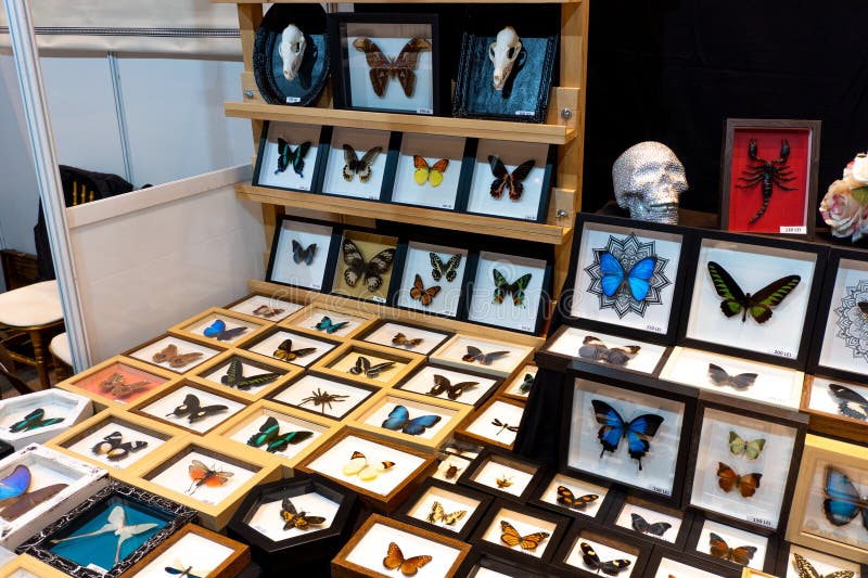 2,150 Butterfly Shop Stock Photos - Free & Royalty-Free Stock Photos ...