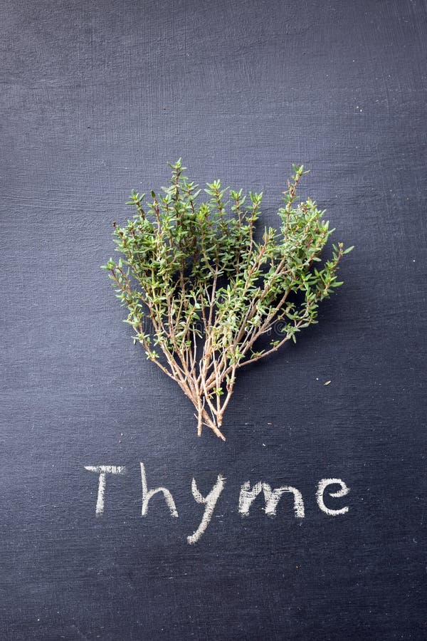 Timjan fotografering för bildbyråer. Bild av arom, björnbär - 36674685