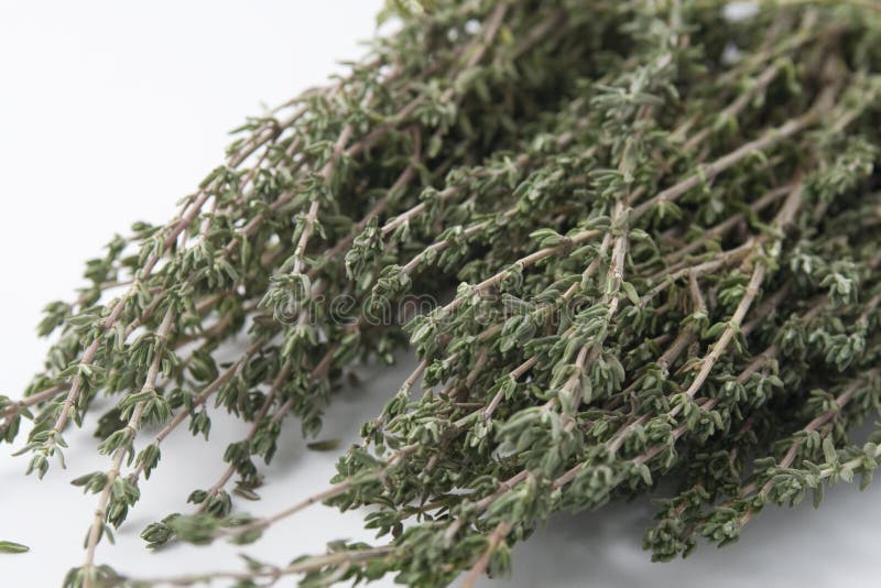 Timjan fotografering för bildbyråer. Bild av ört, matlagning - 4258143