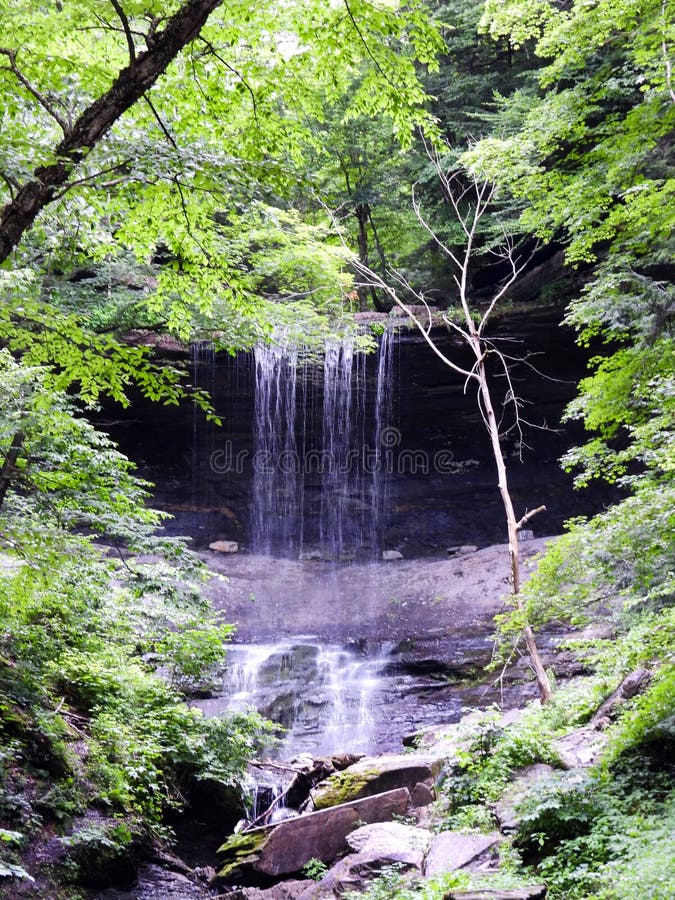 Nanci Mccraine (Mccrainemercantile) - Photographer profile