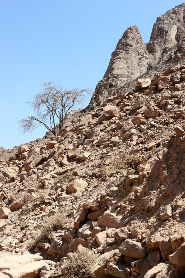 Timna National Park stock photo. Image of formations - 19238006