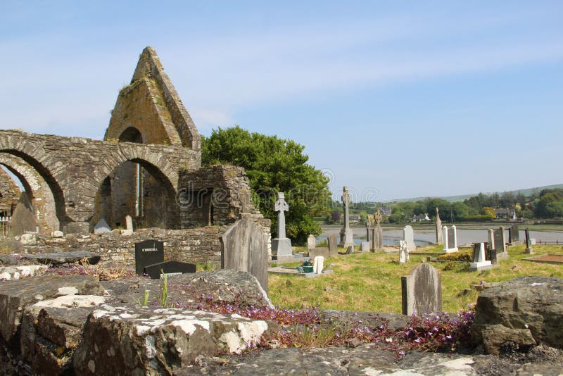 Timoleague Abbey Cork Ireland Fotografia Stock - Immagine di irlanda ...