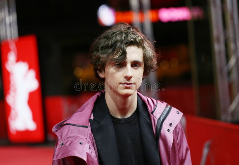 Timothee Chalamet Attends the `Call Me by Your Name` Editorial Stock ... Timothee Chalamet Attends the `Call Me by Your Name` Editorial Stock ...