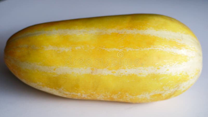 Mentimun Suri Stock Photos - Free & Royalty-Free Stock Photos from ...