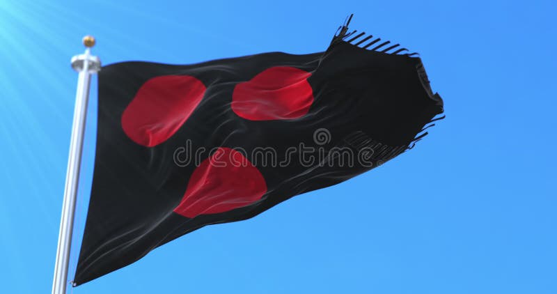 Timurid Empire Flag. Loop stock footage. Video of flagpole - 247470866