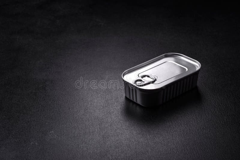 Tin or Aluminum Rectangular Can of Canned Food with a Key Stock Image ...