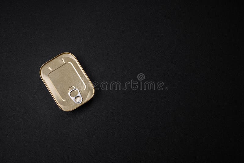 Tin or Aluminum Rectangular Can of Canned Food with a Key Stock Image ...