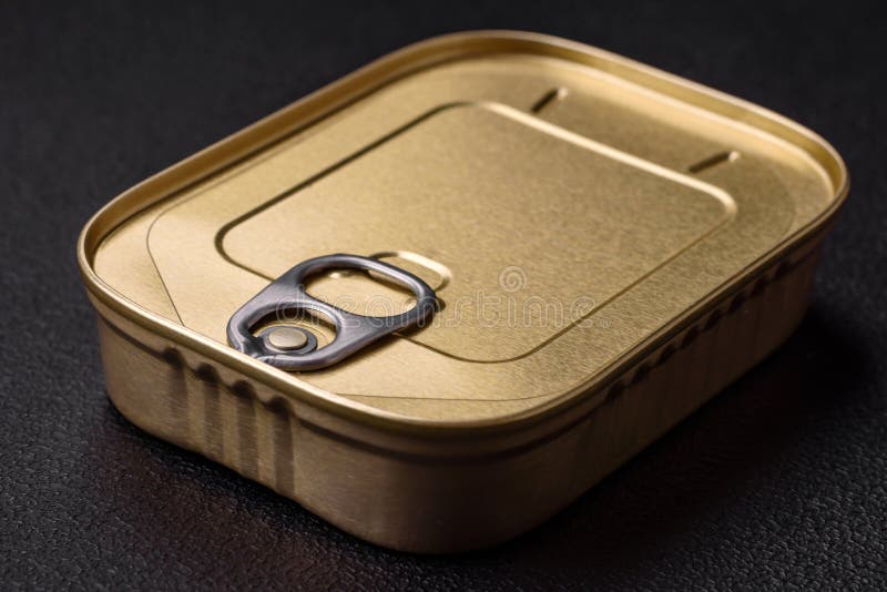 Tin or Aluminum Rectangular Can of Canned Food with a Key Stock Image ...