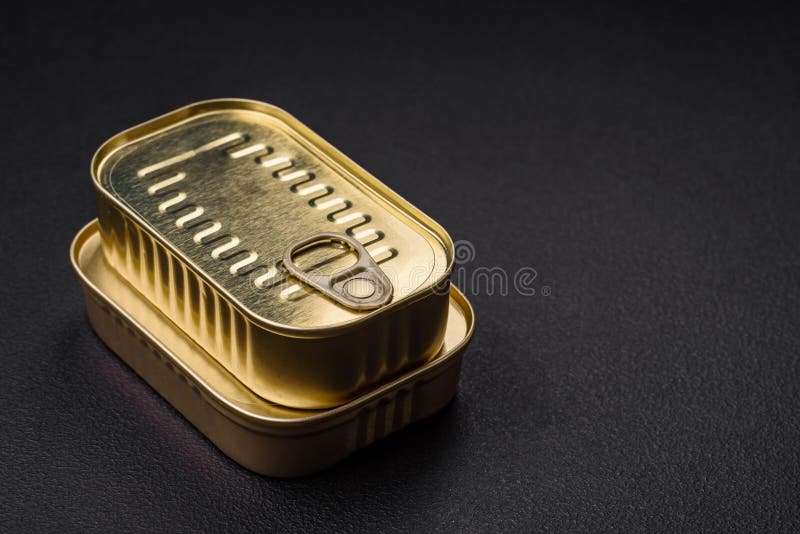 Tin or Aluminum Rectangular Can of Canned Food with a Key Stock Photo ...