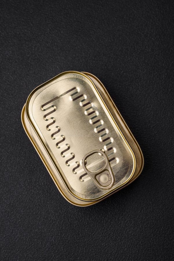 Tin or Aluminum Rectangular Can of Canned Food with a Key Stock Image ...