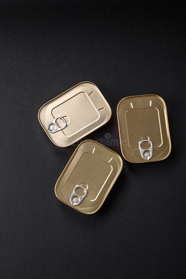 Tin or Aluminum Rectangular Can of Canned Food with a Key Stock Image ...