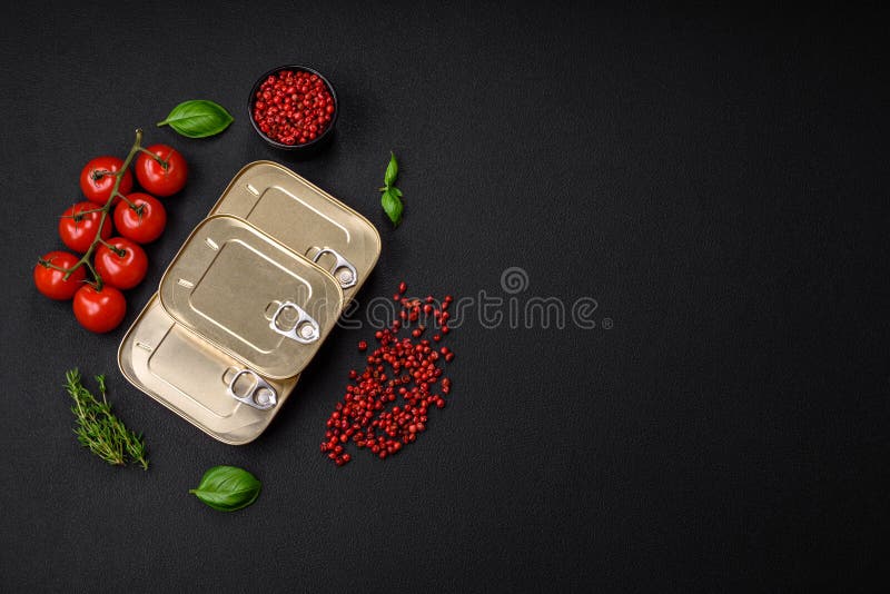 Tin or Aluminum Rectangular Can of Canned Food with a Key Stock Image ...