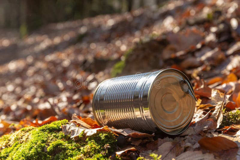 Tin Can Waste on Forest Floor Closeup Stock Photo - Image of earth ...
