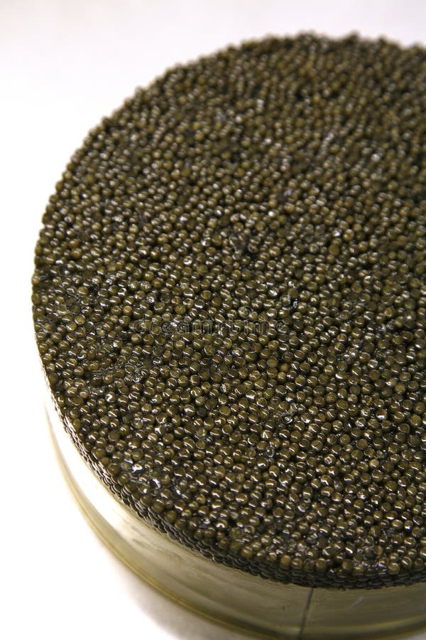 Caviar stock image. Image of balls, round, black, eggs - 490773