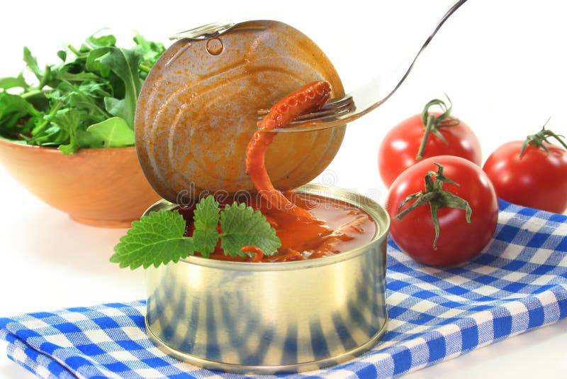 Tin of fish stock image. Image of salad, canned, traditional - 19835567