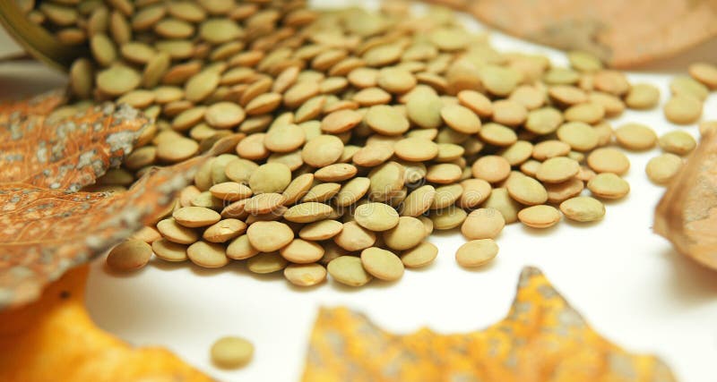 Tin with lentils stock image. Image of lentil, cans - 138728993