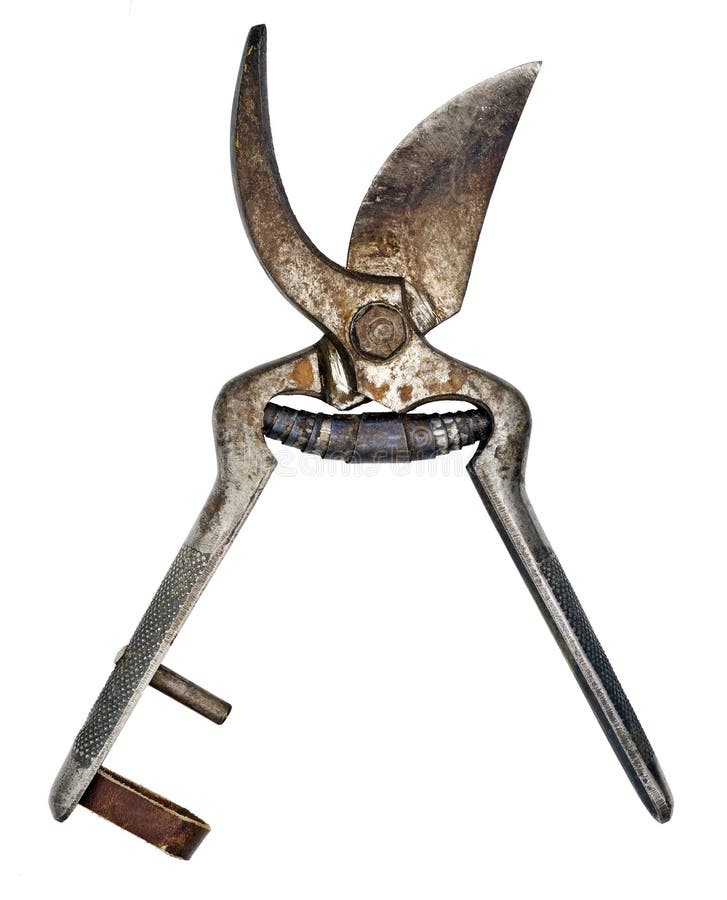 Tin snips open stock image. Image of handles, cutters - 24295573