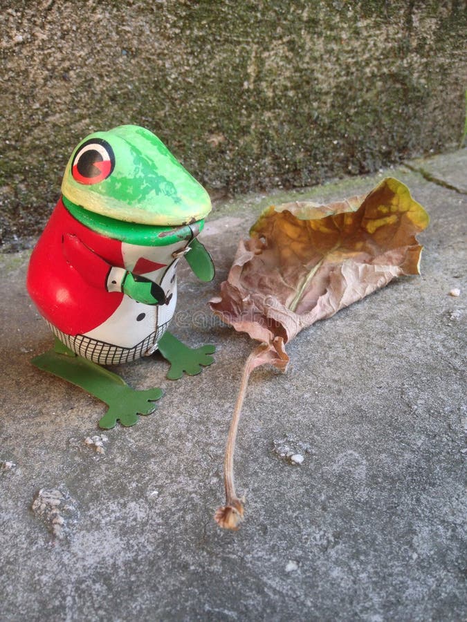 Tin toy frog - Romania stock photo. Image of communist - 76630092