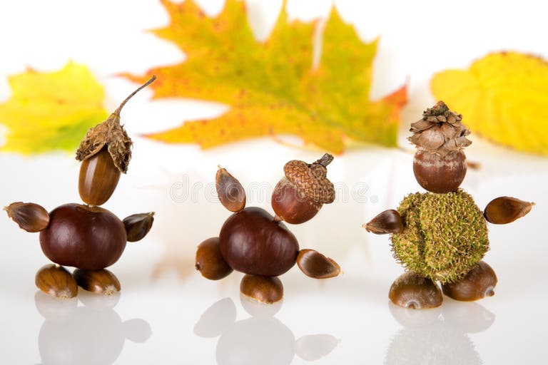 Tinker 1 stock image. Image of leaves, acorn, creative - 1374743